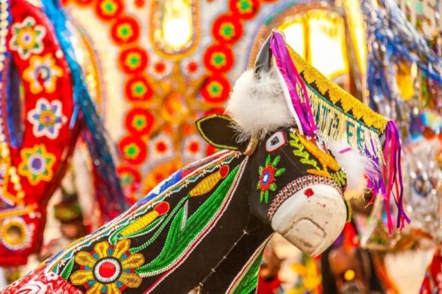Bumba Meu Boi: história, tradição e força da cultura do Nordeste ⋆ ...